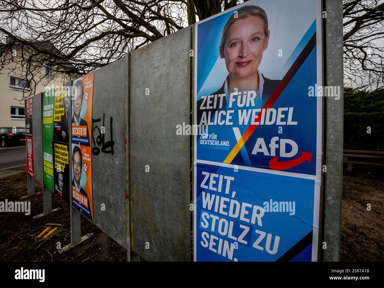 Election posters of German right wing party AfD top candidate Alice ...