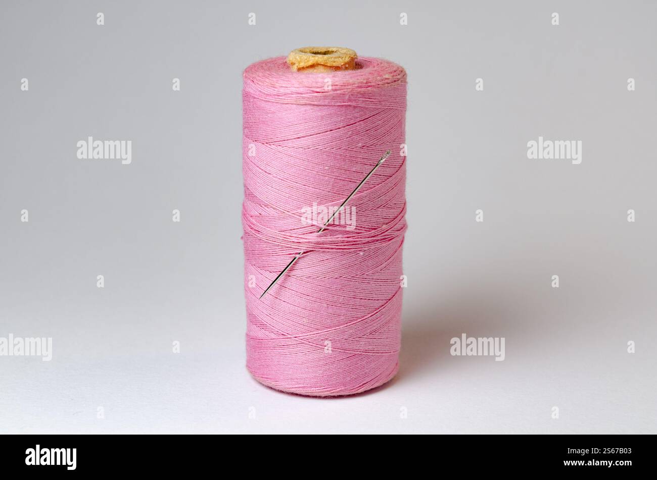 One single pink thread spool with needle on white background Stock ...