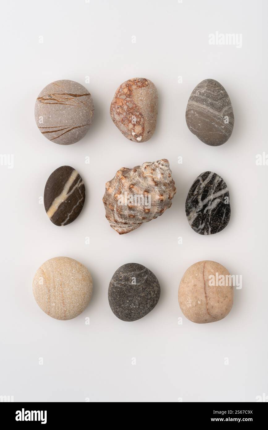 A collection of colorful natural pebbles arranged in rows on a white ...