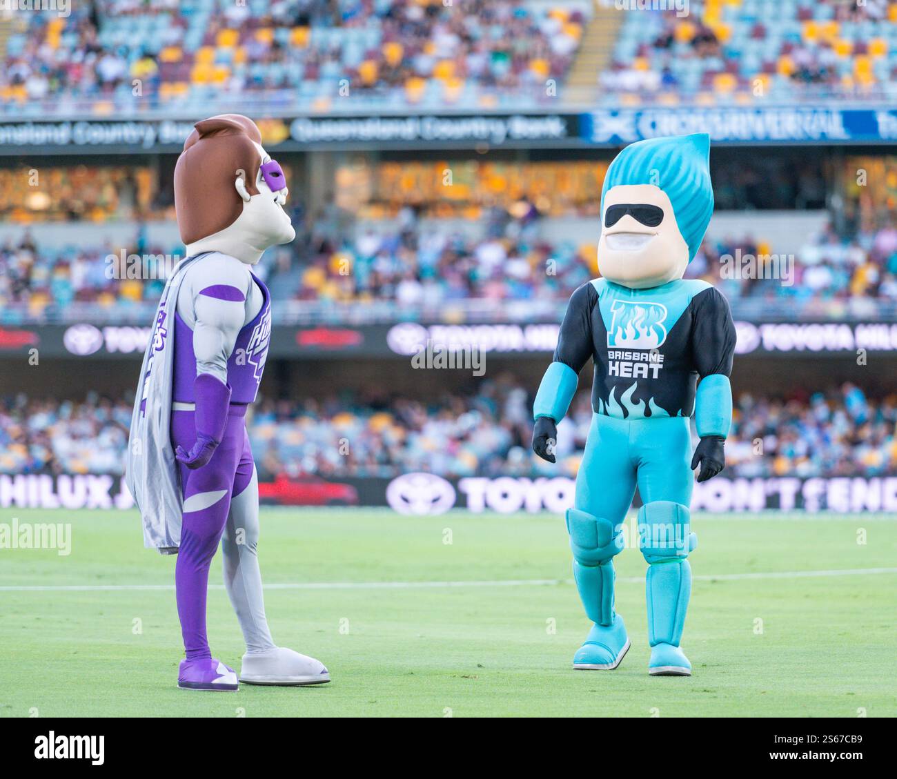 Mascots facing off during the Big Bash League match between the ...