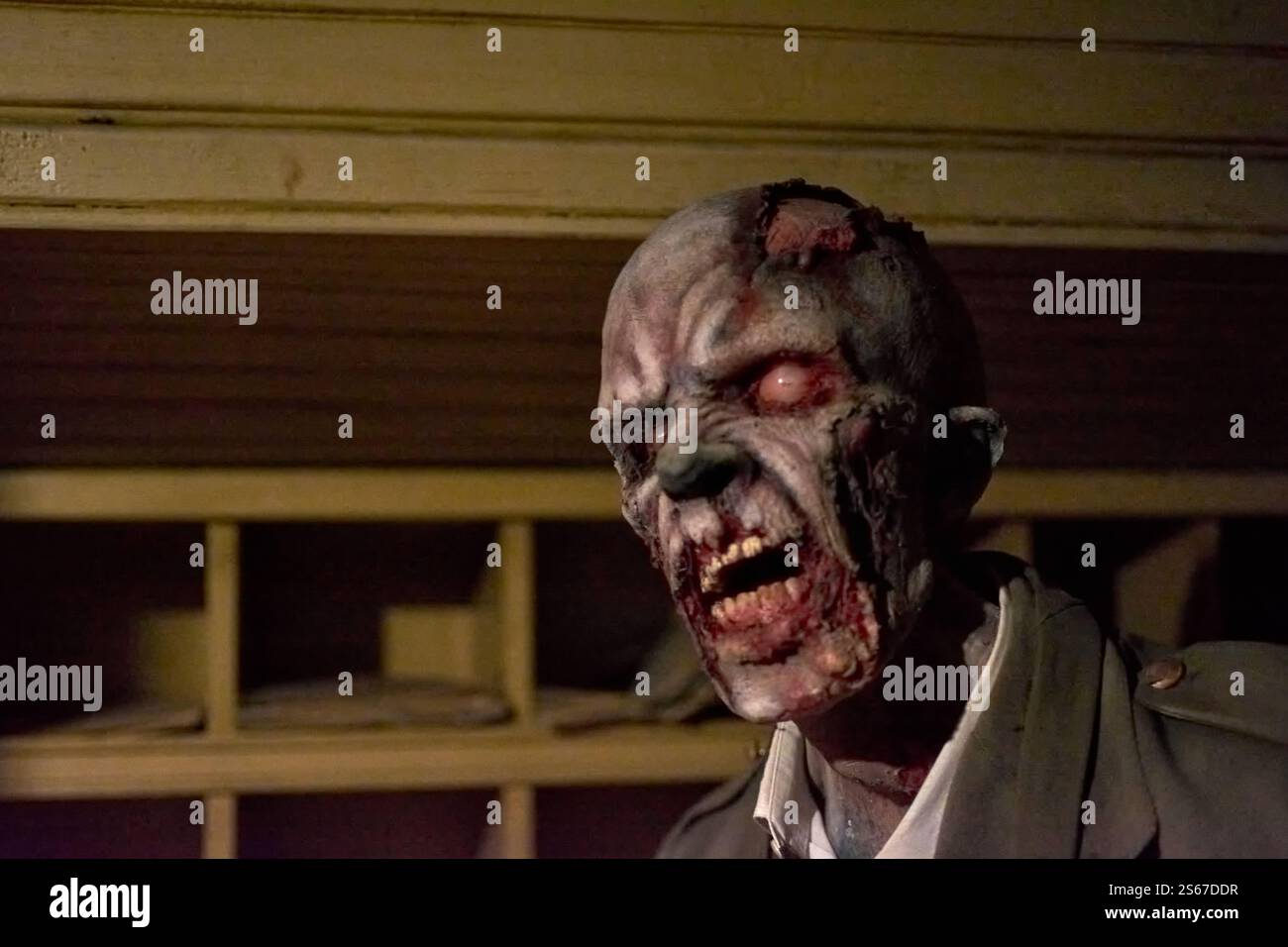 Wax figure of a terrifying zombie with decayed skin and torn clothes ...
