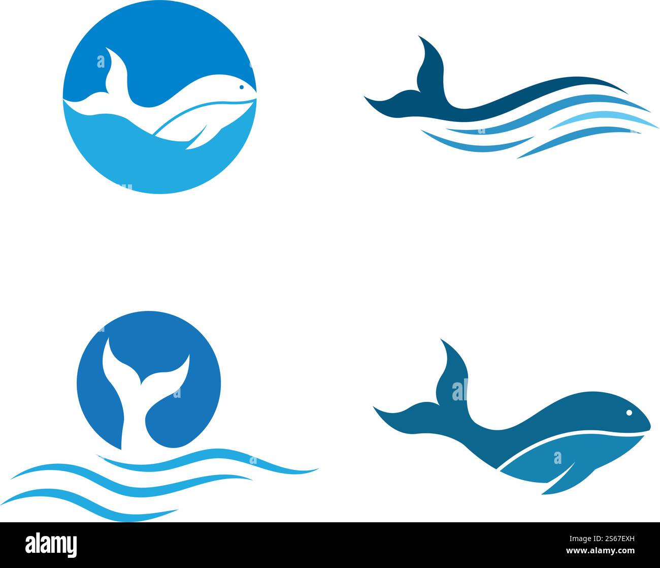 Whale fish logo illustration vector flat design Stock Vector Image ...