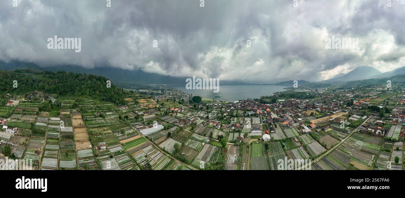 Vegetable plantations in the Bedugul area of Bali, Indonesia. Near ...