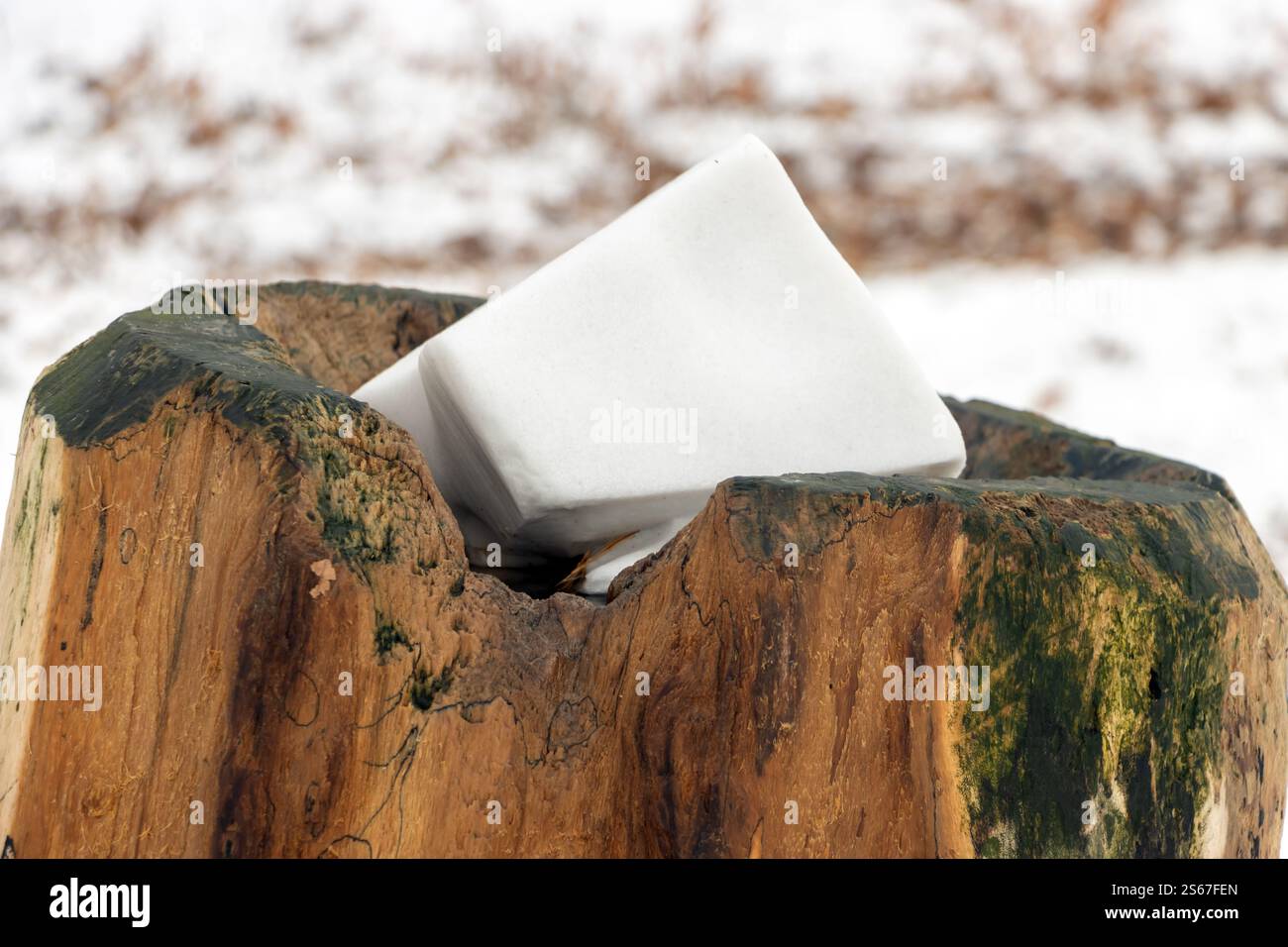 A cube of salt placed in a tree stump for animals in a snowy forest ...