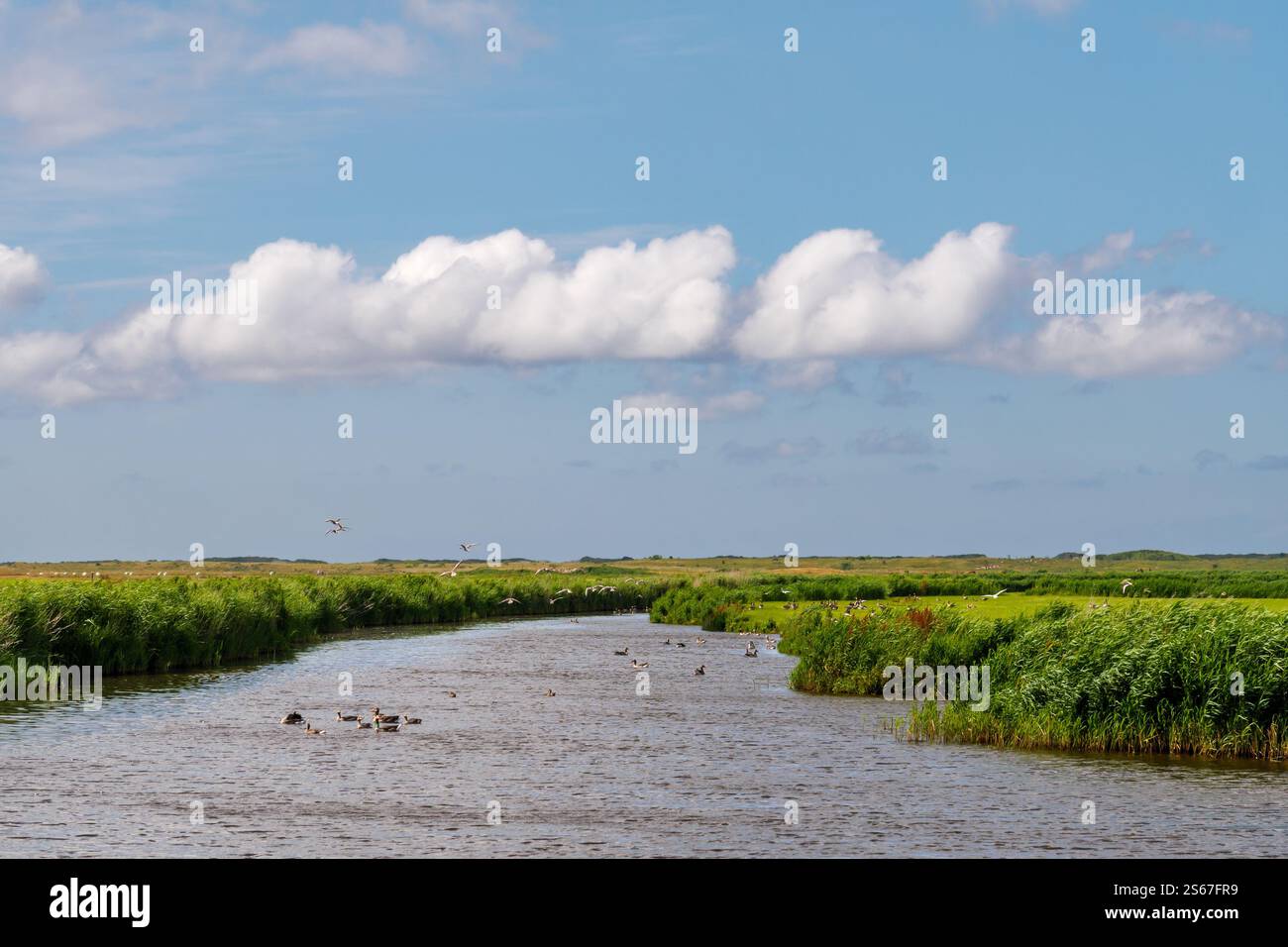 De Slenk was once a channel separating Ballum and Nes, allowing North ...