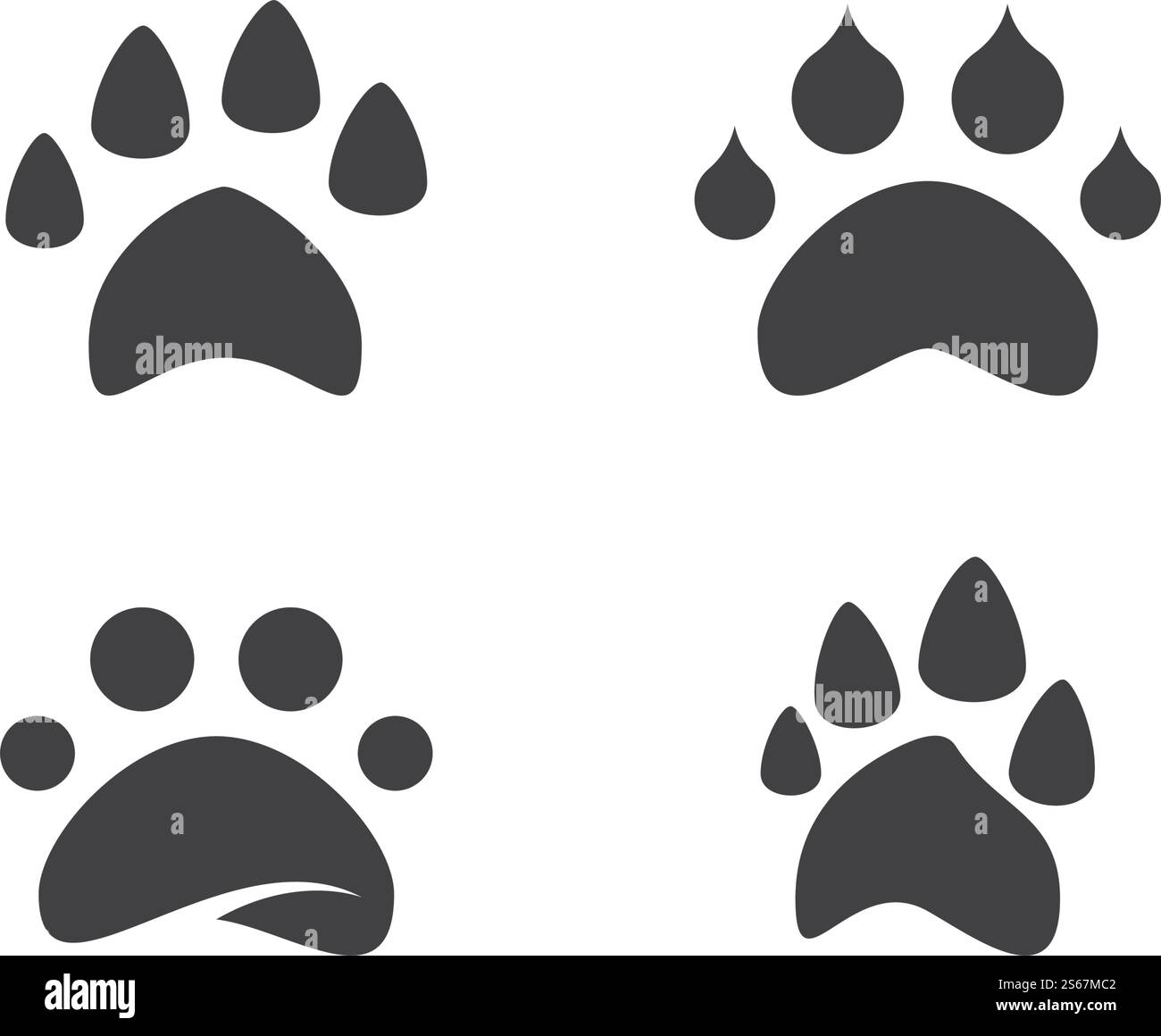 Paw logo vector template Stock Vector Image & Art - Alamy
