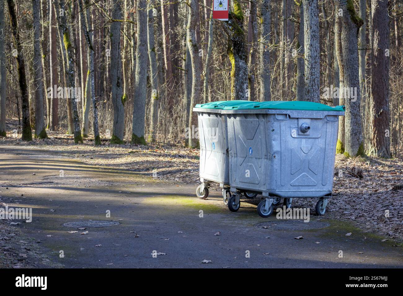 a large gray waste container with a green lid placed on a forest path ...