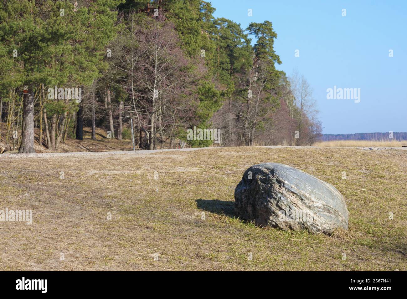 a large round stone in the meadow at the edge of the forest Stock Photo ...