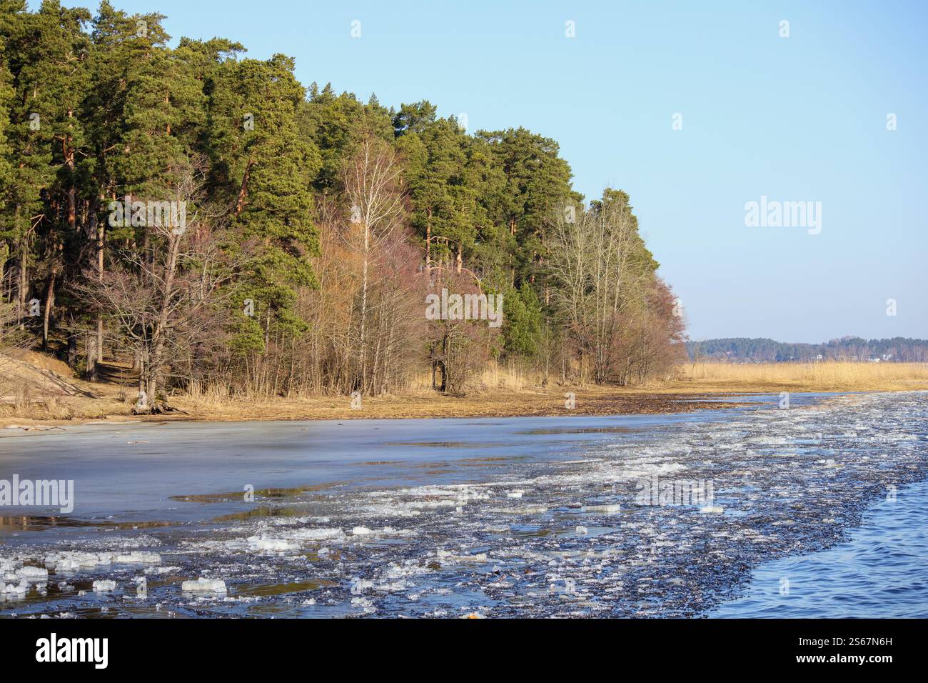 a lake shore with trees where the water has partially frozen to form ...