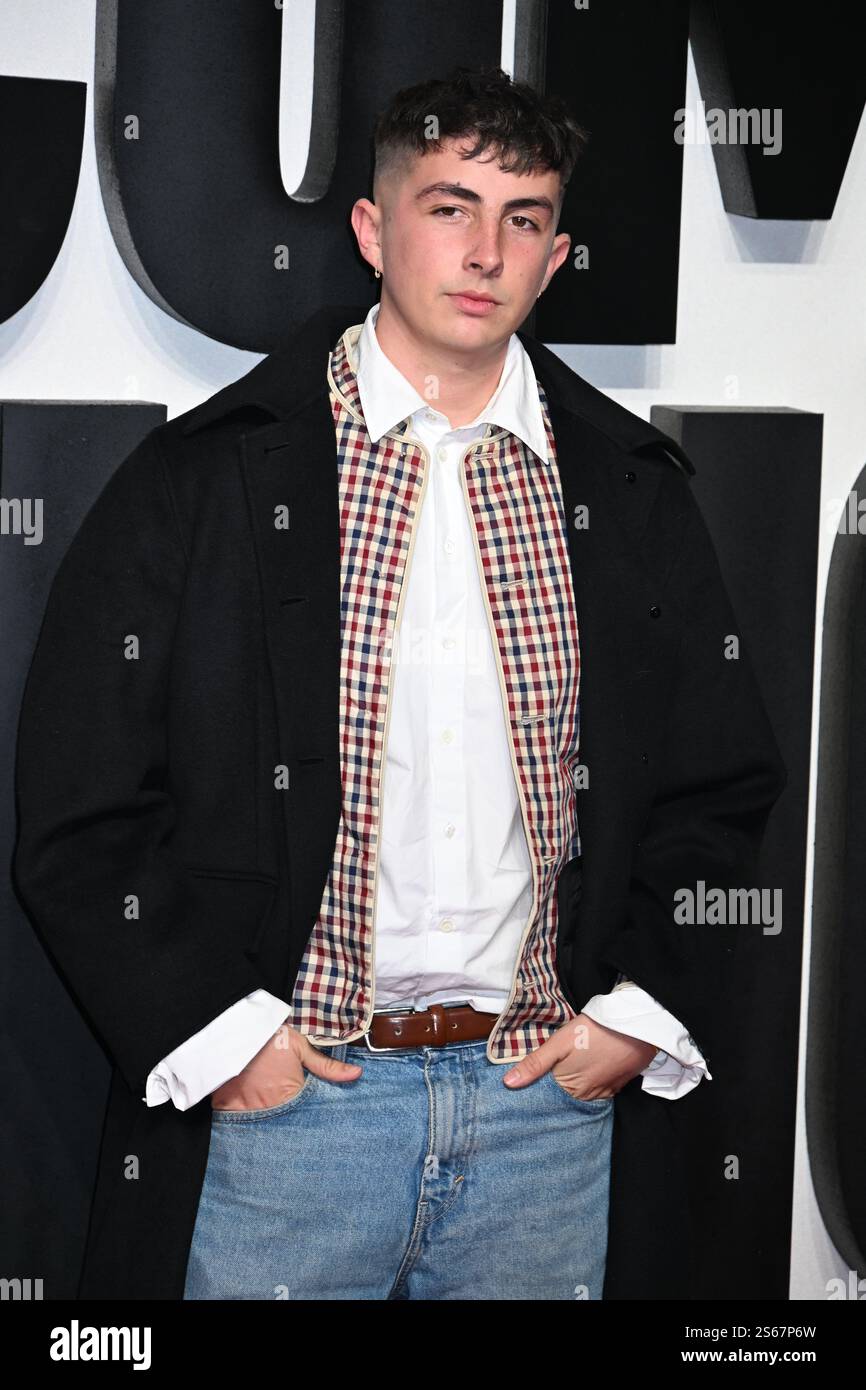 Lewys Ball. A Complete Unknown UK Premiere, BFI Southbank, London, UK ...