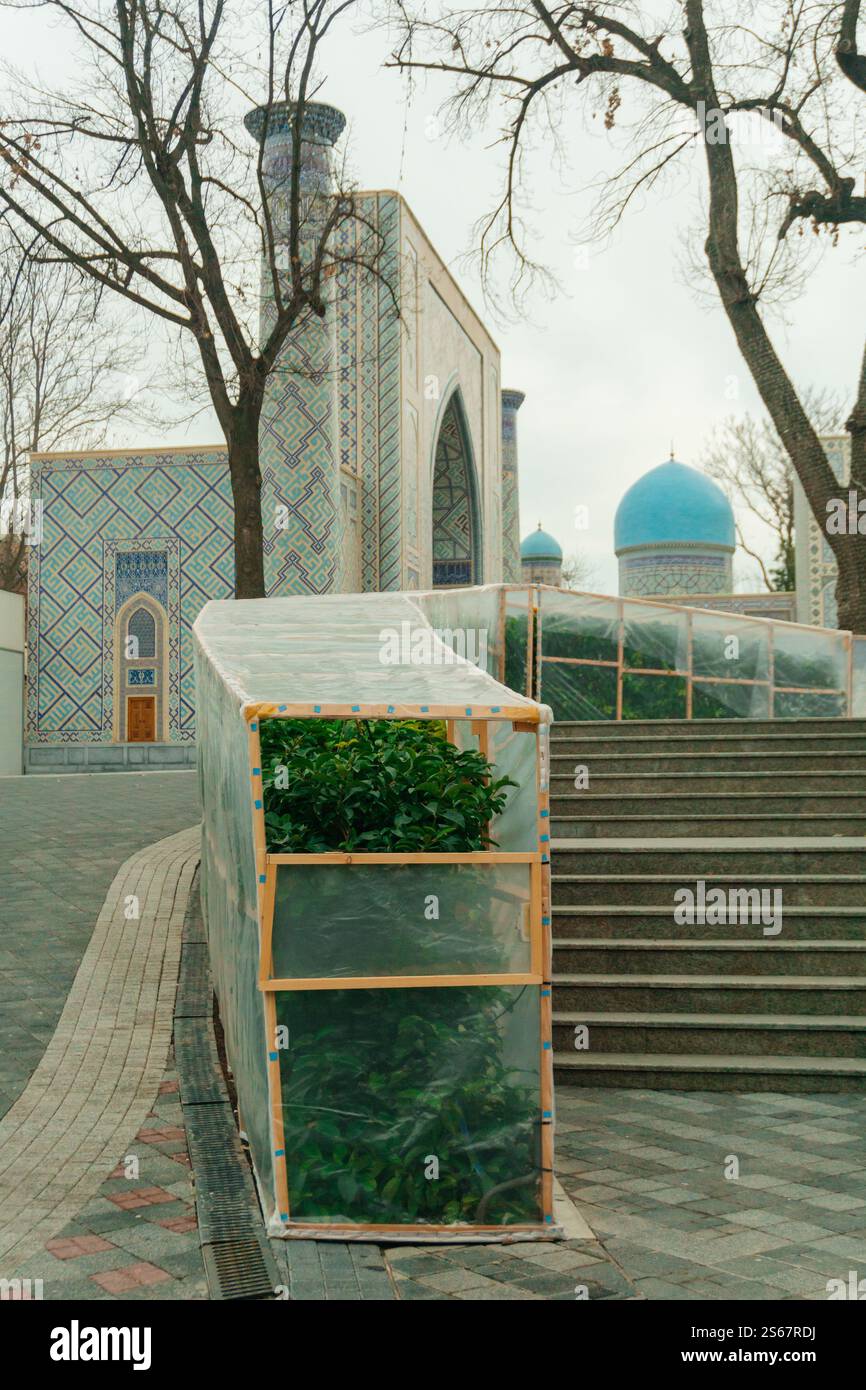 greenhouses to protect seedlings from frost. emergency protection of ...