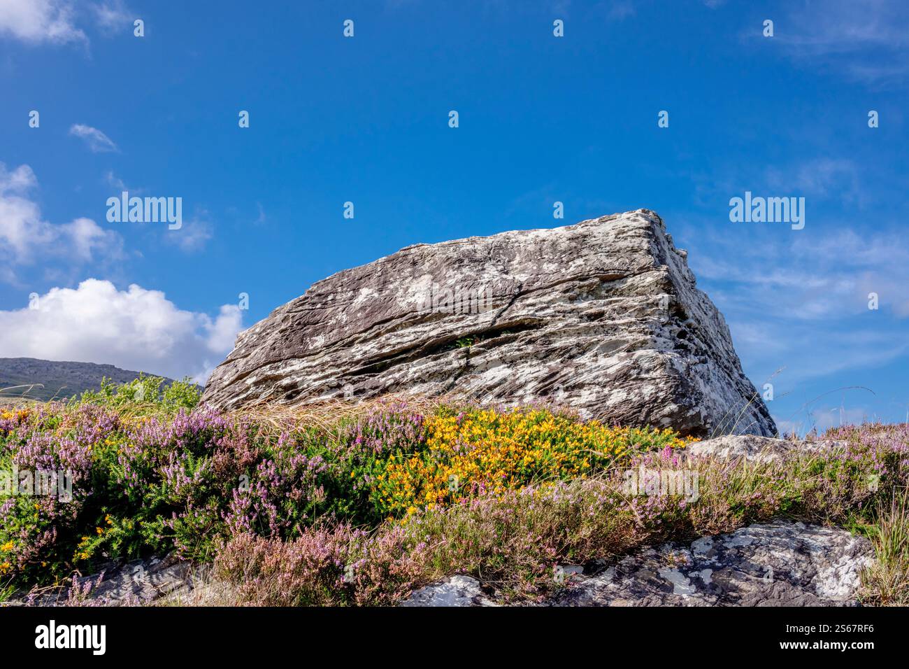 Erratic boulder of Devonian sandstone deposited by a glacier during the ...