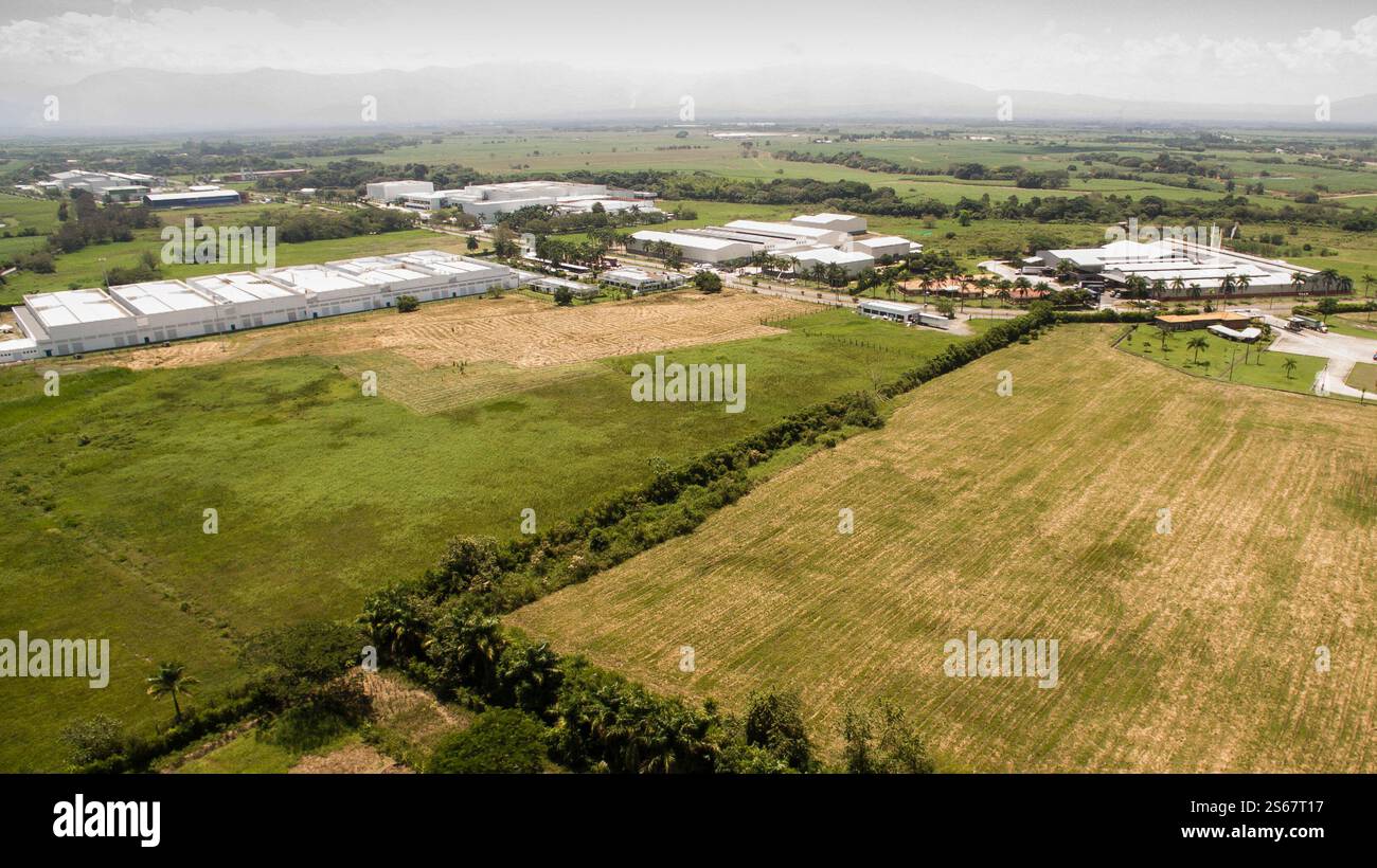 Sugar cane field Stock Photo - Alamy