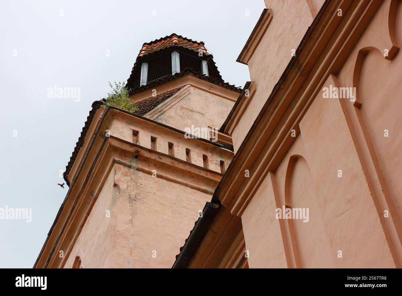 Close-up of different Gothic castle and church architecture elements ...
