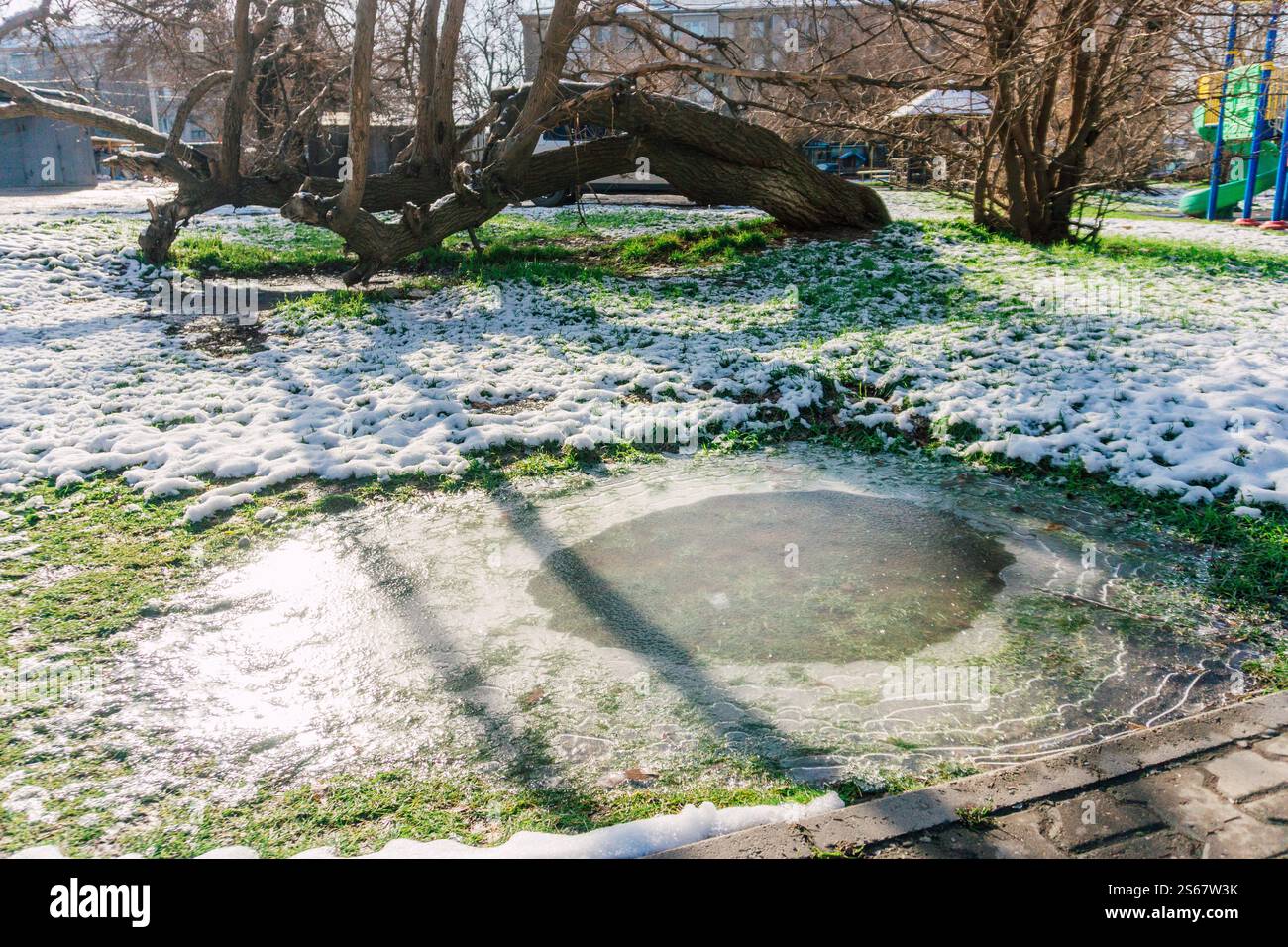 a frozen puddle on the street. water covered with a layer of ice Stock ...