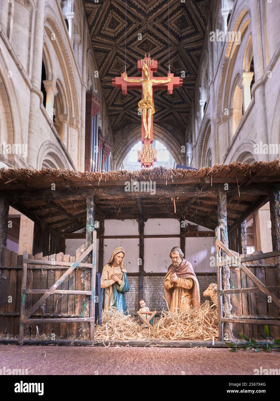Christmas crib in the medieval christian cathedral at Peterborough ...