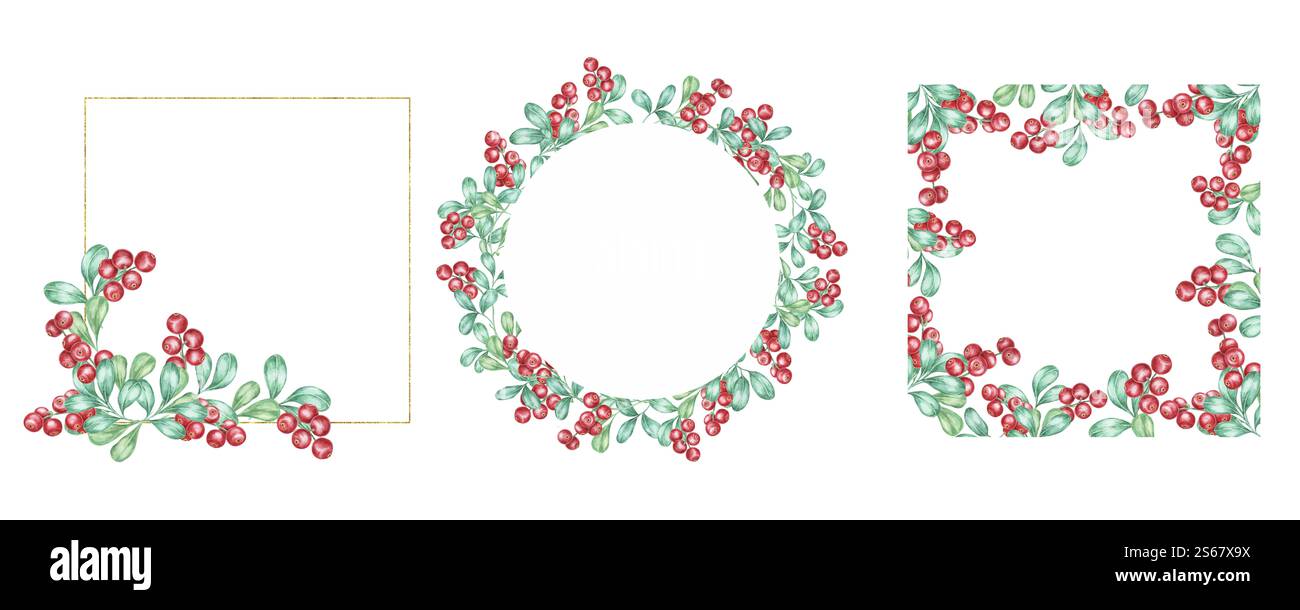 Elegant set of cranberry frames with red berries and delicate green ...