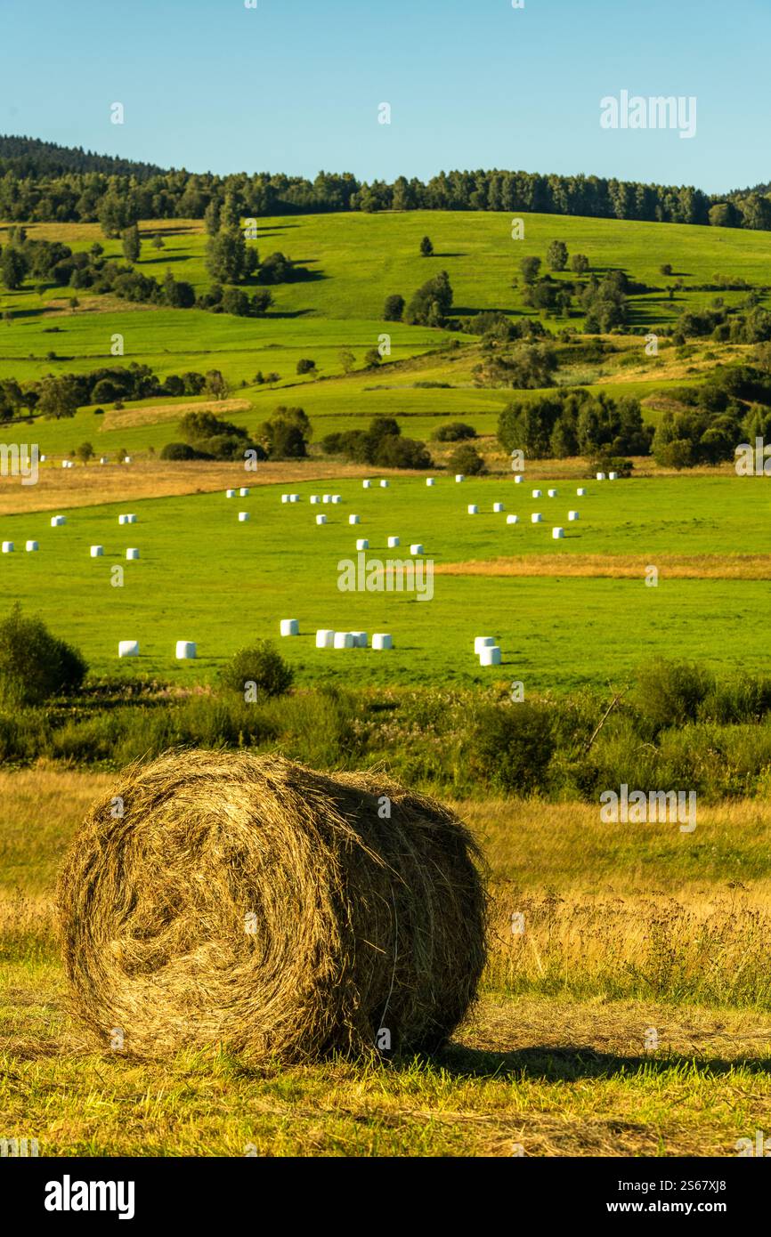 Polish culture, tradition and heritage in Bieszczady Mountains region ...