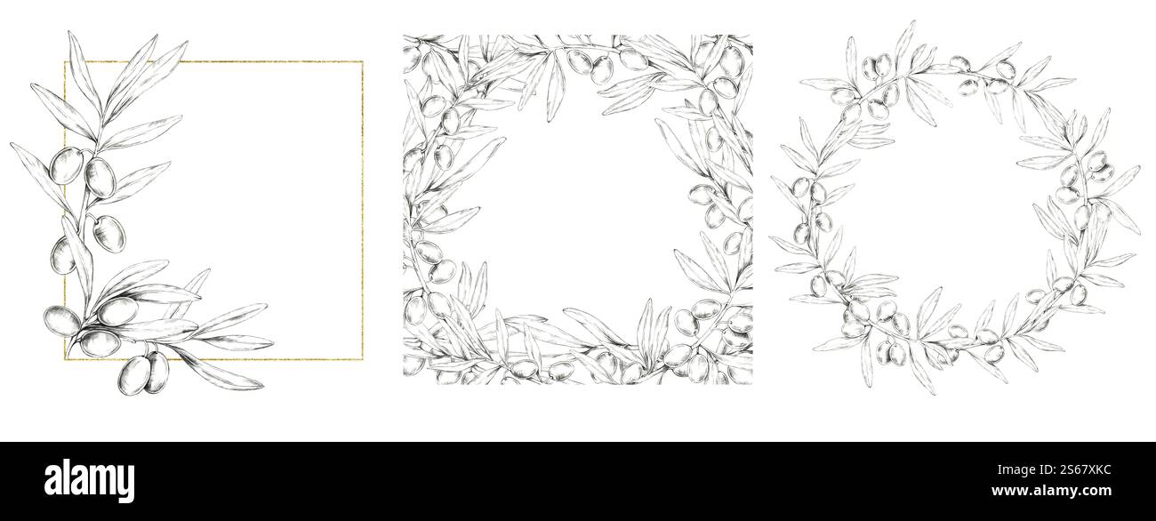 A collection of pencil-drawn olive branch frames in different shapes ...