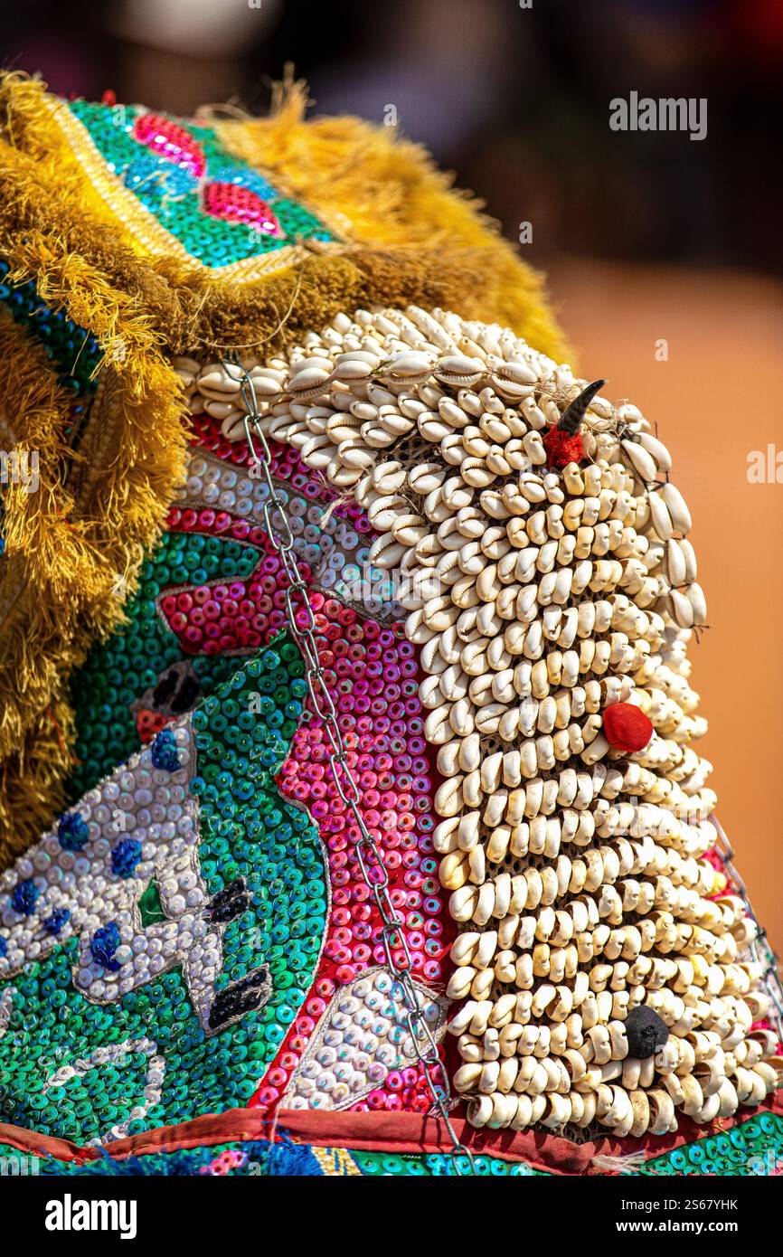 Célébration du VODUN DAYS au BENIN Stock Photo - Alamy