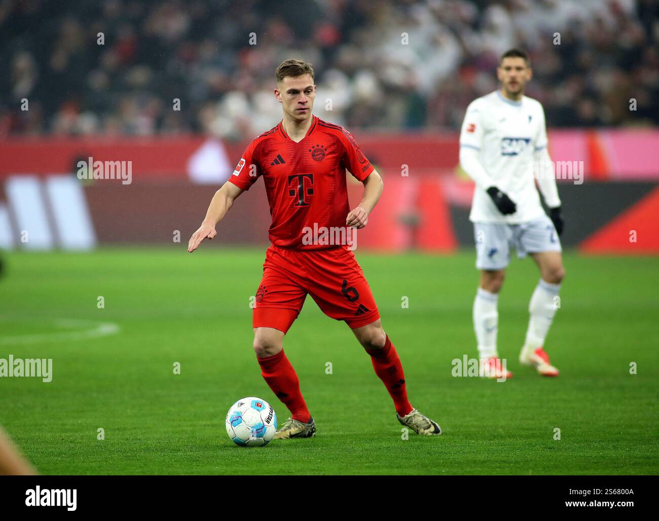 München, Deutschland, 15. Januar 2025: Fussball, Herren, Bundesliga ...