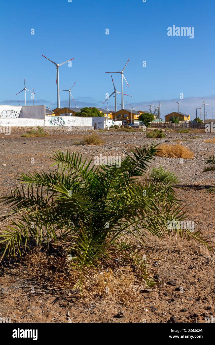 Rural homes near a wind farm in the Canary Islands, highlighting both ...