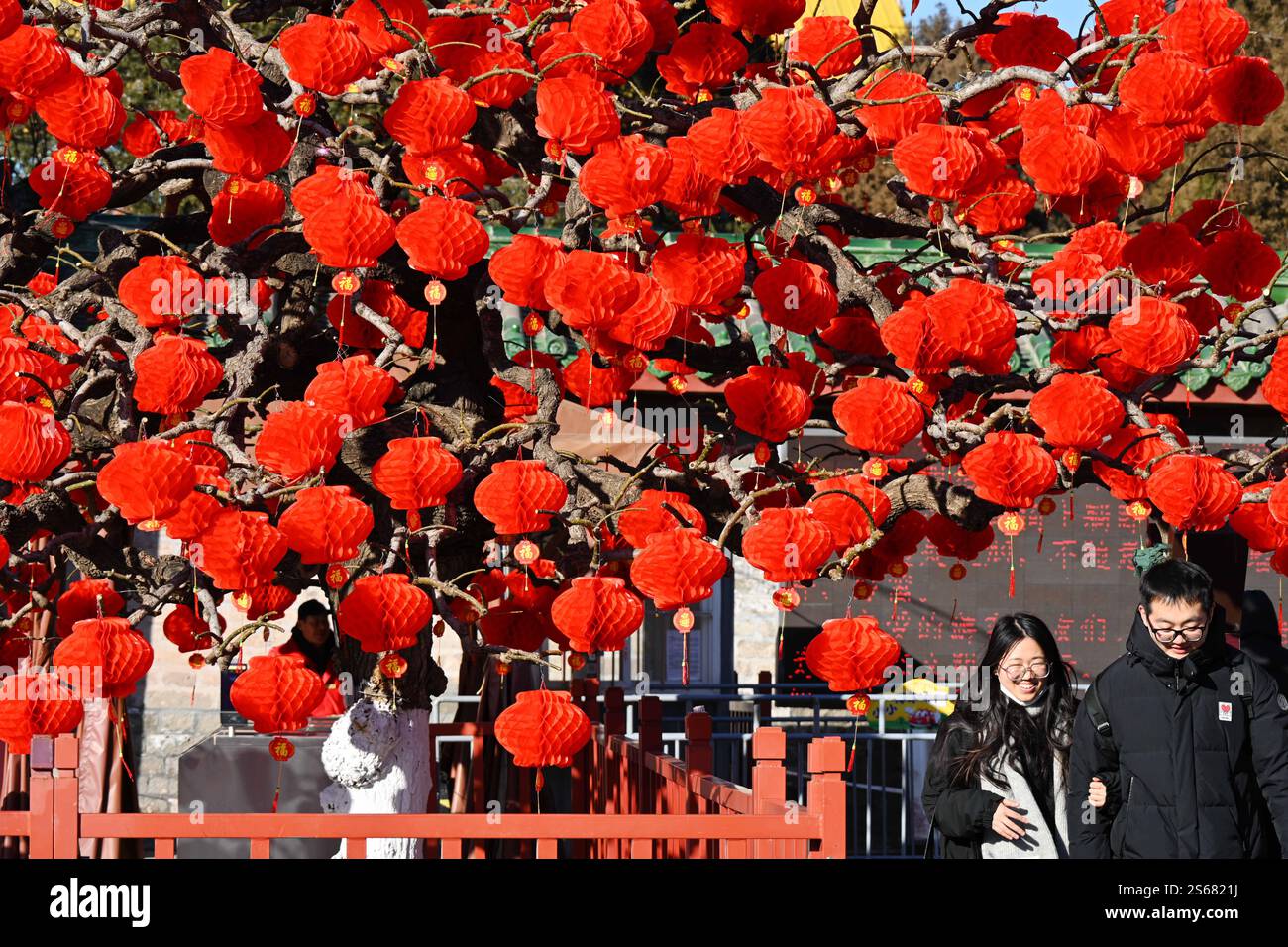 Beijing, China. 16th Jan, 2025. BEIJING, CHINA - JANUARY 16, 2025 ...