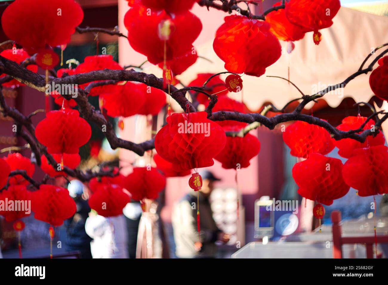 BEIJING, CHINA - JANUARY 16, 2025 - Tourists celebrate the upcoming ...