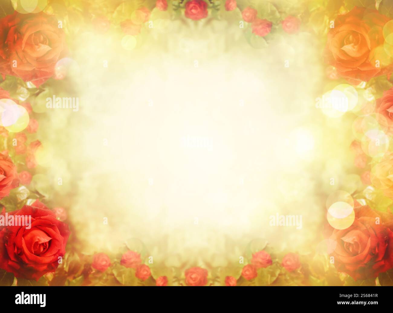 Frame of red roses. Red rose in romantic background. Background ...