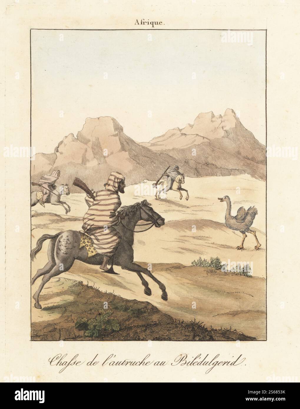 Chasse de lautriche au biledulgerid hi-res stock photography and images ...