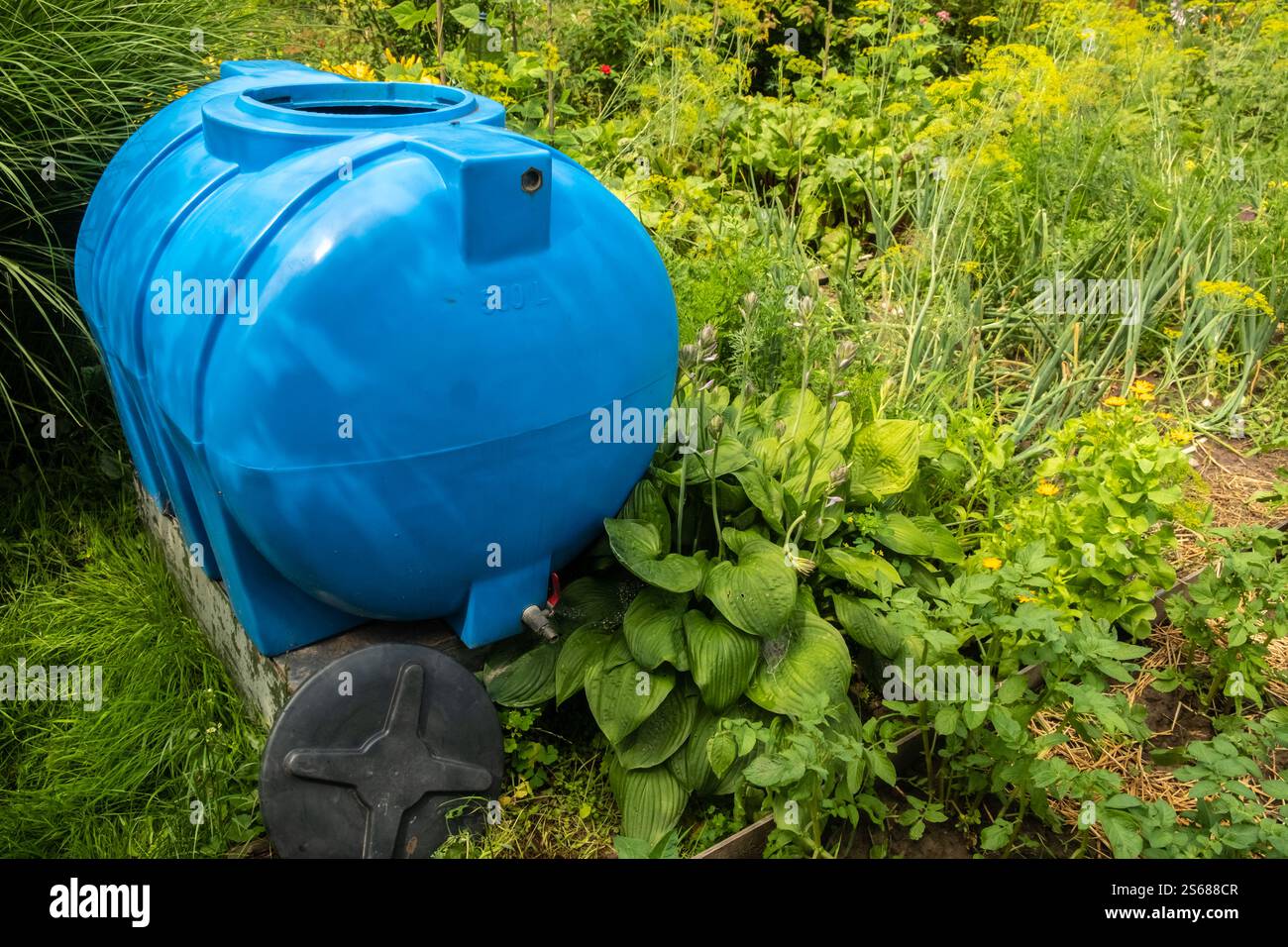 water collection tank under a roof with a drain. Rain water harvesting ...