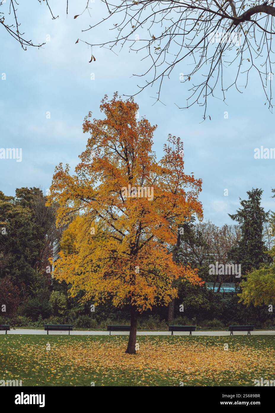 Autumn in paris garden hi-res stock photography and images - Alamy