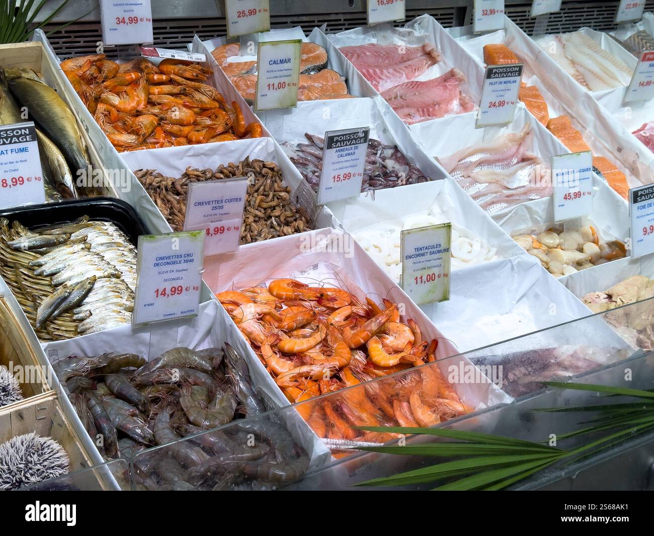 Fresh seafood assortment displayed in a market with various options ...