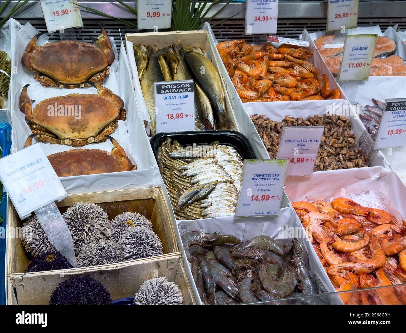 Seafood market display filled with fresh catches and crustaceans in ...