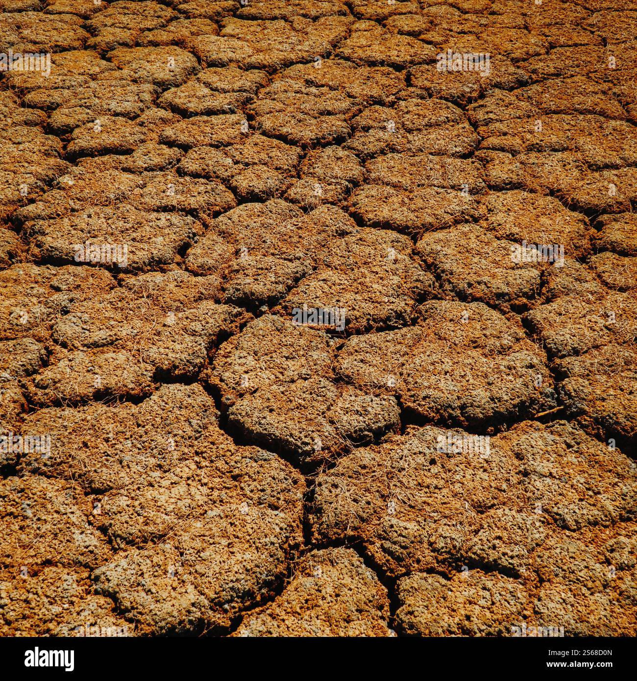 Dry Terrain, Pattern, Bottle Stock Photo - Alamy