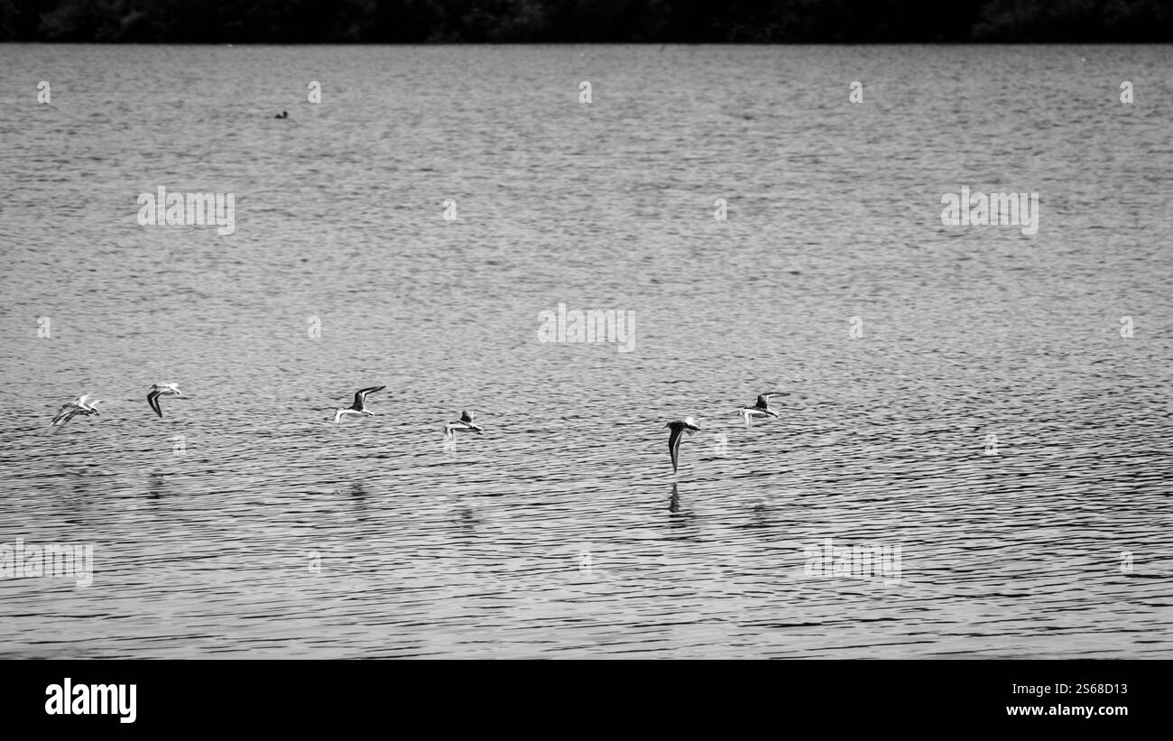 Lagoa de Melides, Portugal Stock Photo - Alamy