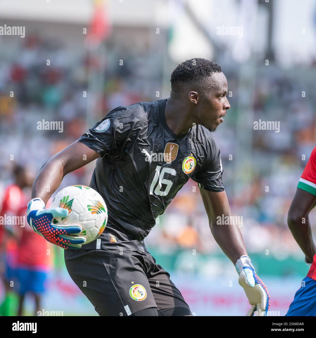 AFRICAN CUP 2024 Stock Photo - Alamy