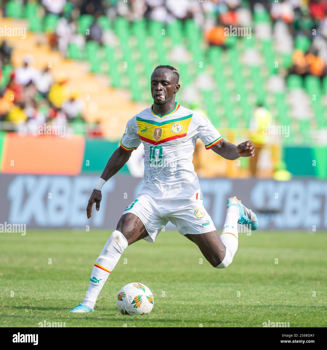 AFRICAN CUP 2024 Stock Photo - Alamy