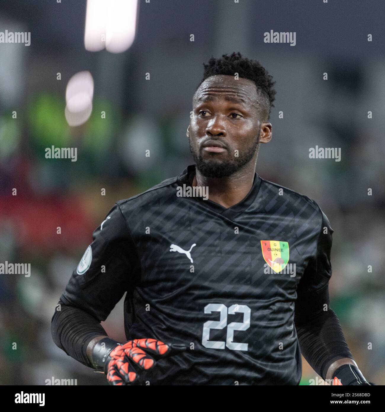 AFRICAN CUP 2024 Stock Photo - Alamy