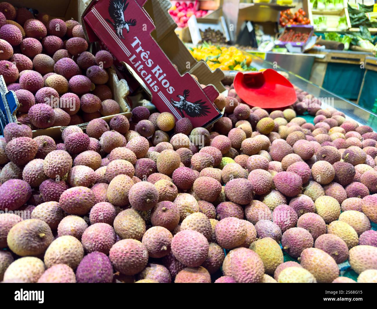 Fresh lychees piled high at a vibrant local market in mid-summer Stock ...