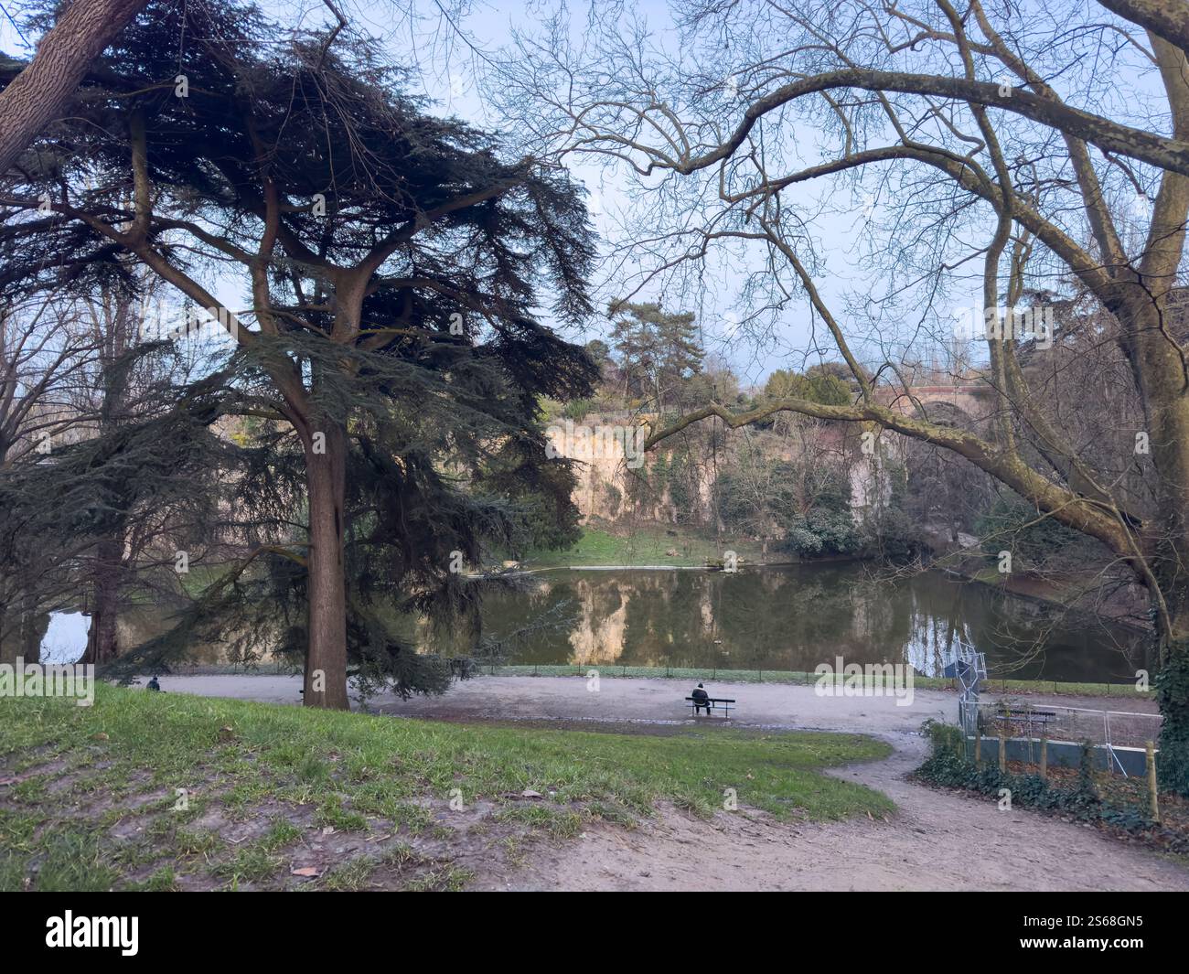 Calm park by the water featuring trees and a solitary bench Stock Photo ...