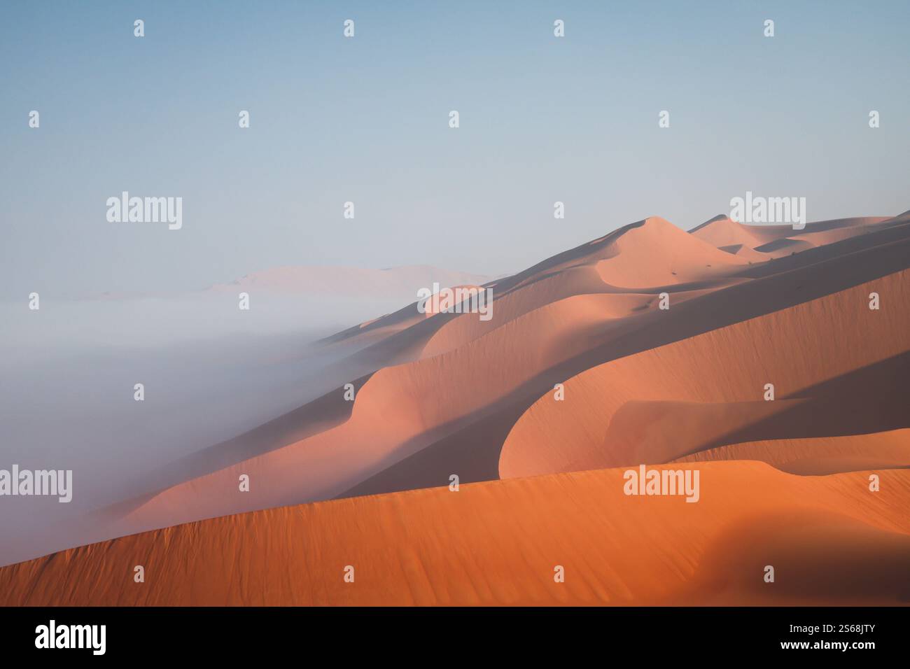 dunes, sand, sable landscape, paysage during the Stage 11 of the Dakar ...