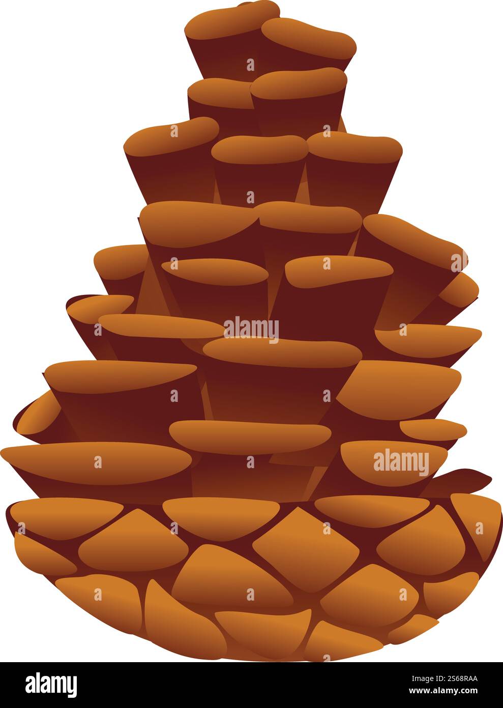 Conifer pine cone icon. Cartoon of conifer pine cone vector icon for ...