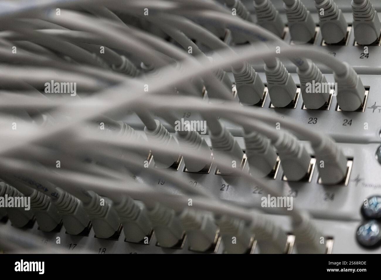 Na, Germany. 16th Jan, 2025. Network cables can be seen in a data ...