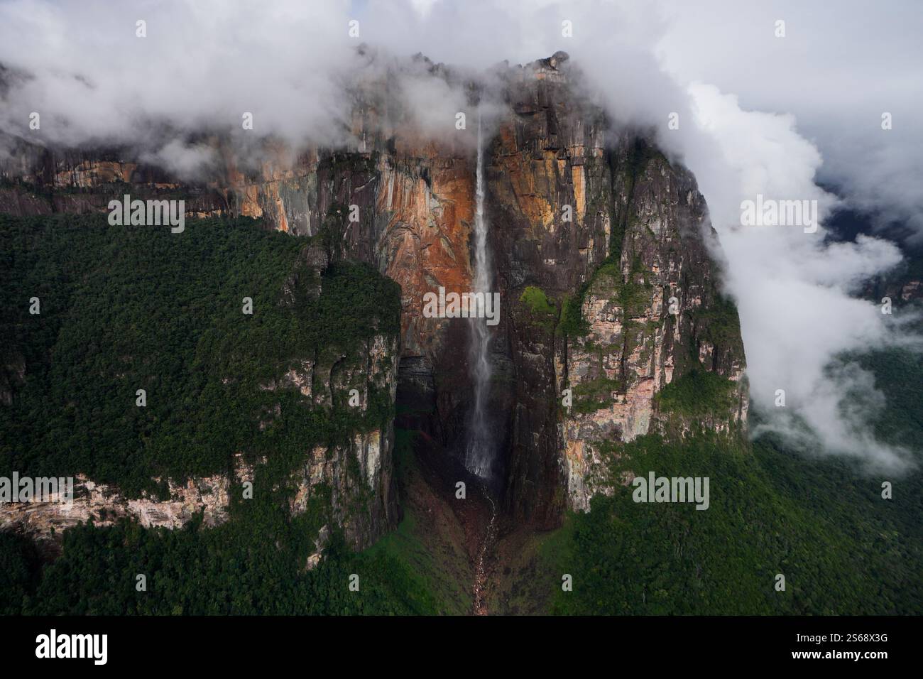 Angel Falls plunges from the Auyan-tepui in Canaima National Park ...