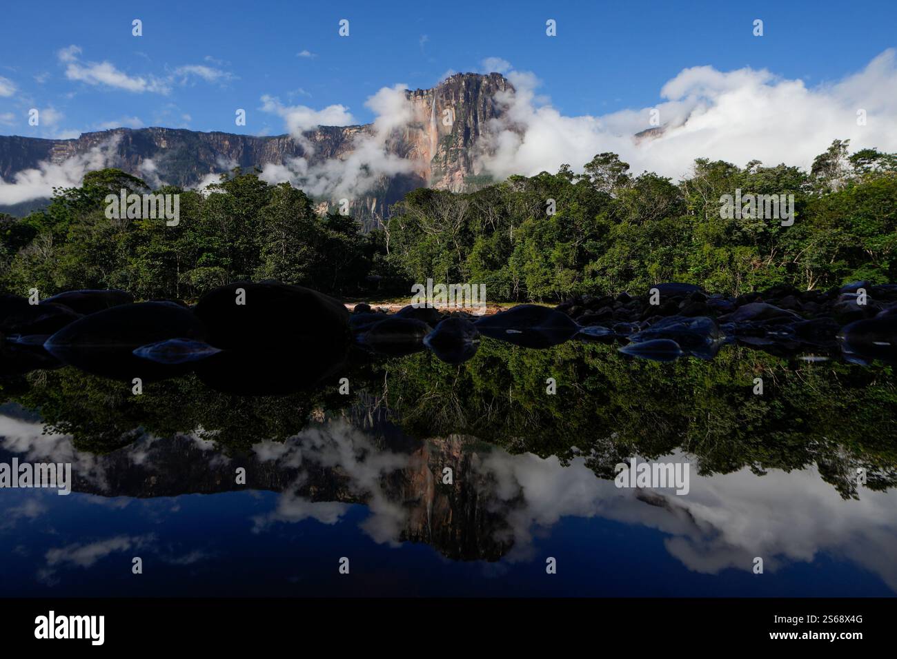 Angel Falls cascade from the Auyan-tepui, reflected in the Churun River ...