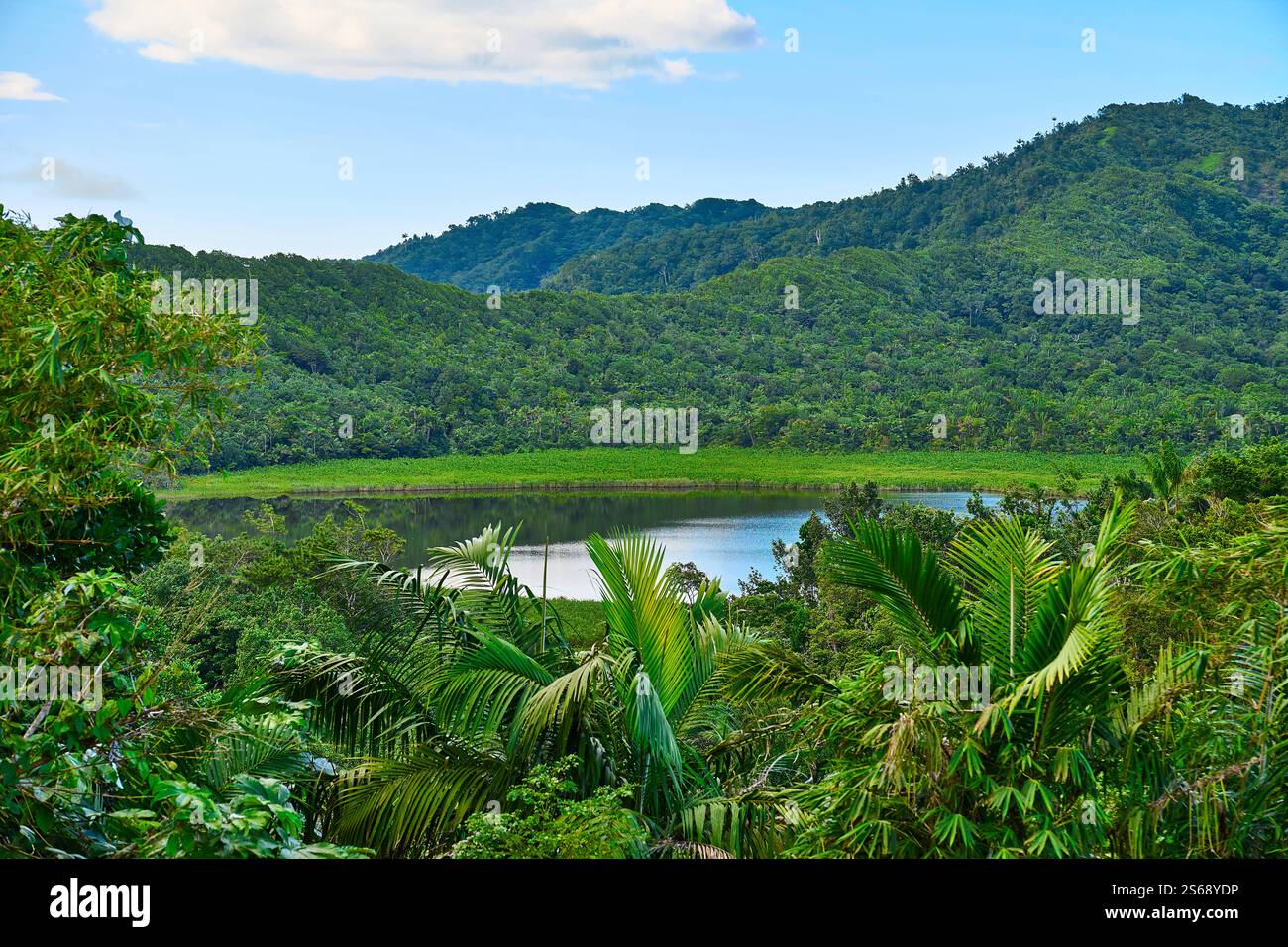 Saint George s, Grenada, Caribbean - January 10, 2025: The Grand Etang ...