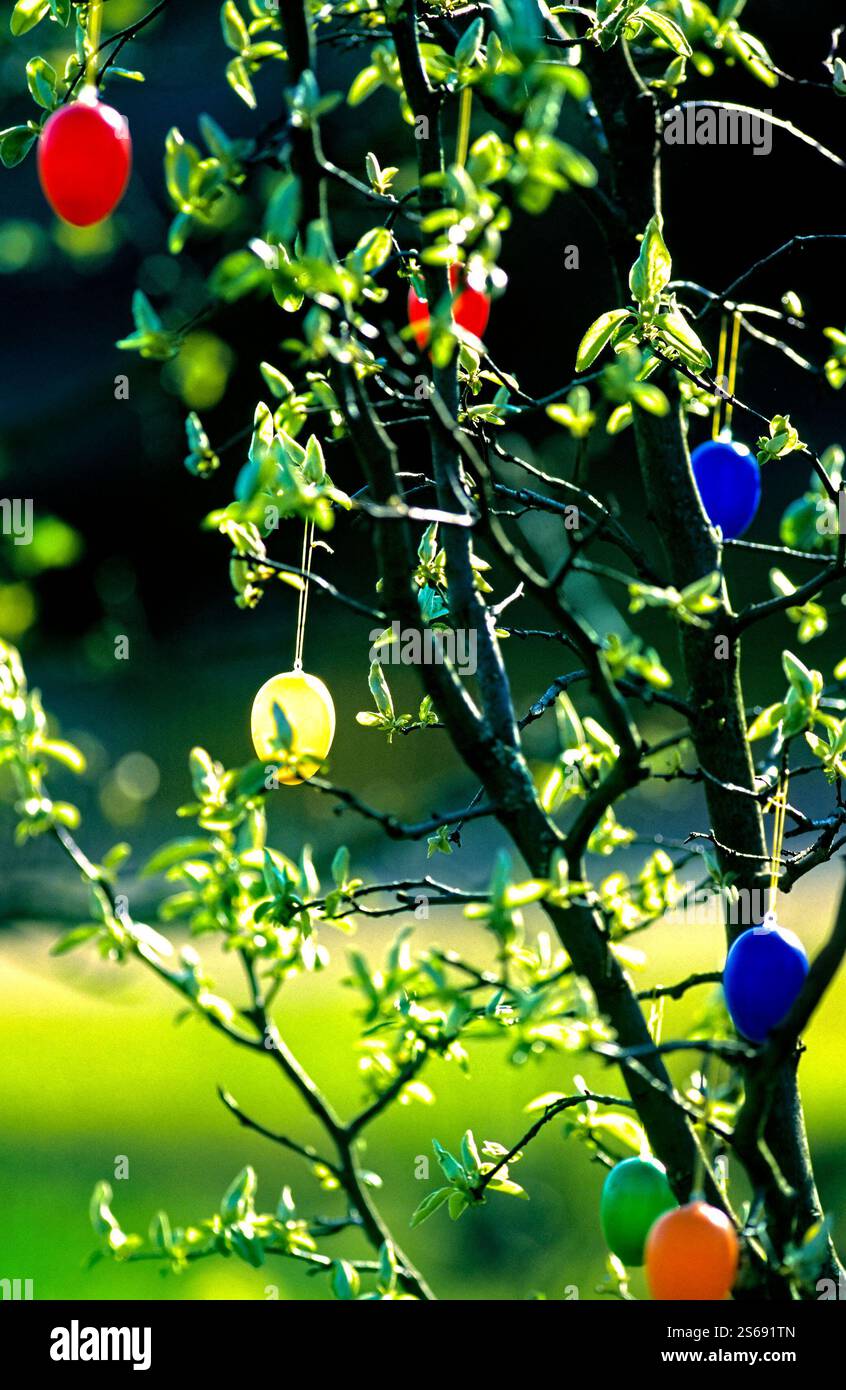 Traditional Bavarian Easter Tree, Chiemgau, Upper Bavaria, Germany ...