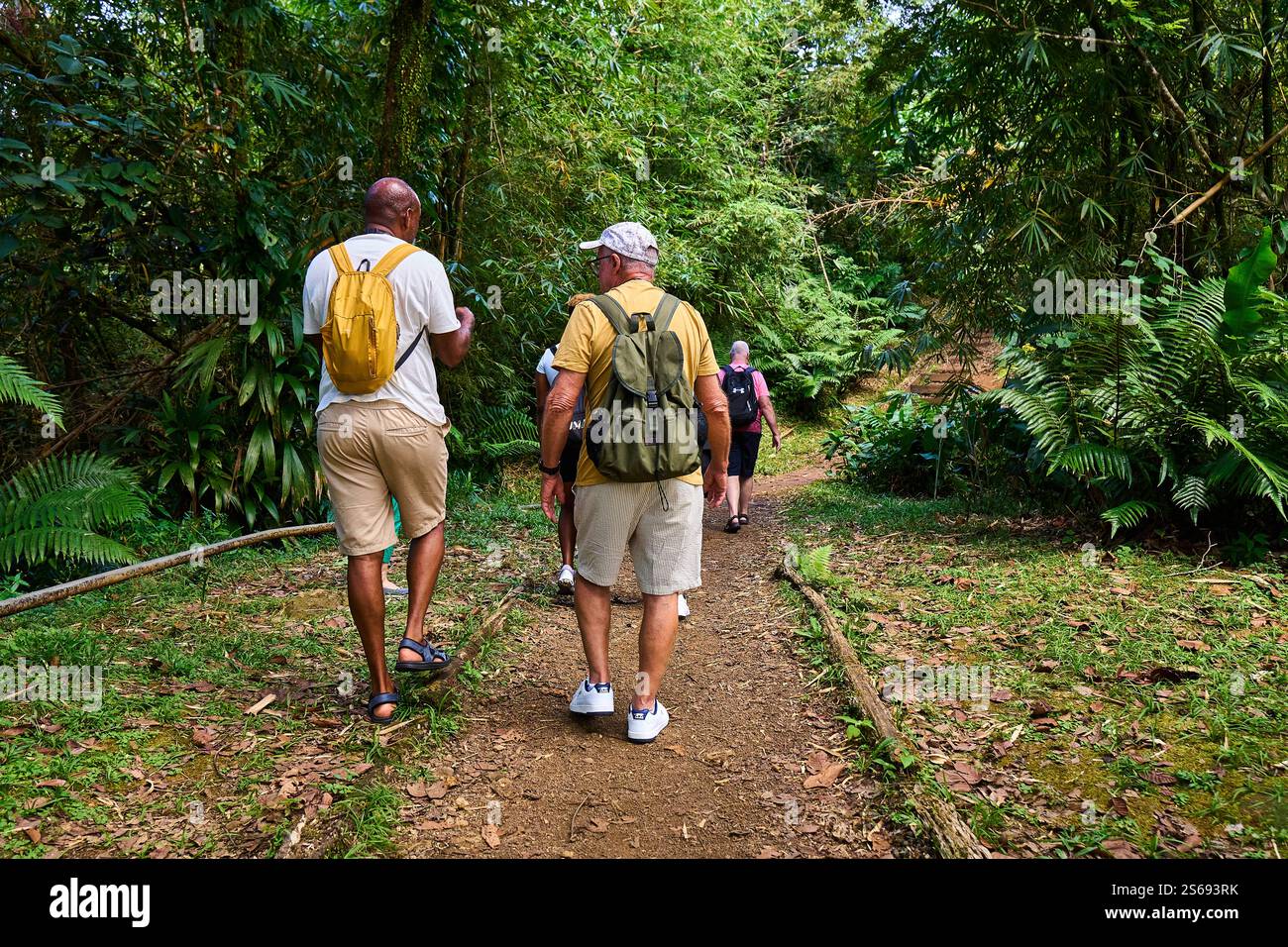 Saint George s, Grenada, Caribbean - January 10, 2025: Tourists hike ...