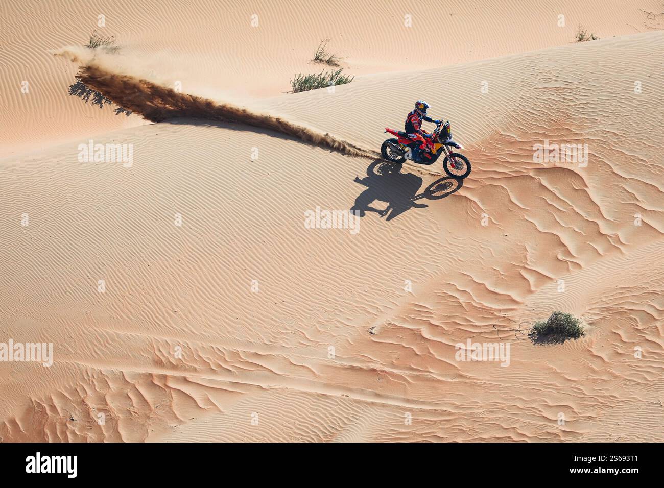 Stage 10 of the Dakar Rally delivered stunning performances in the ...